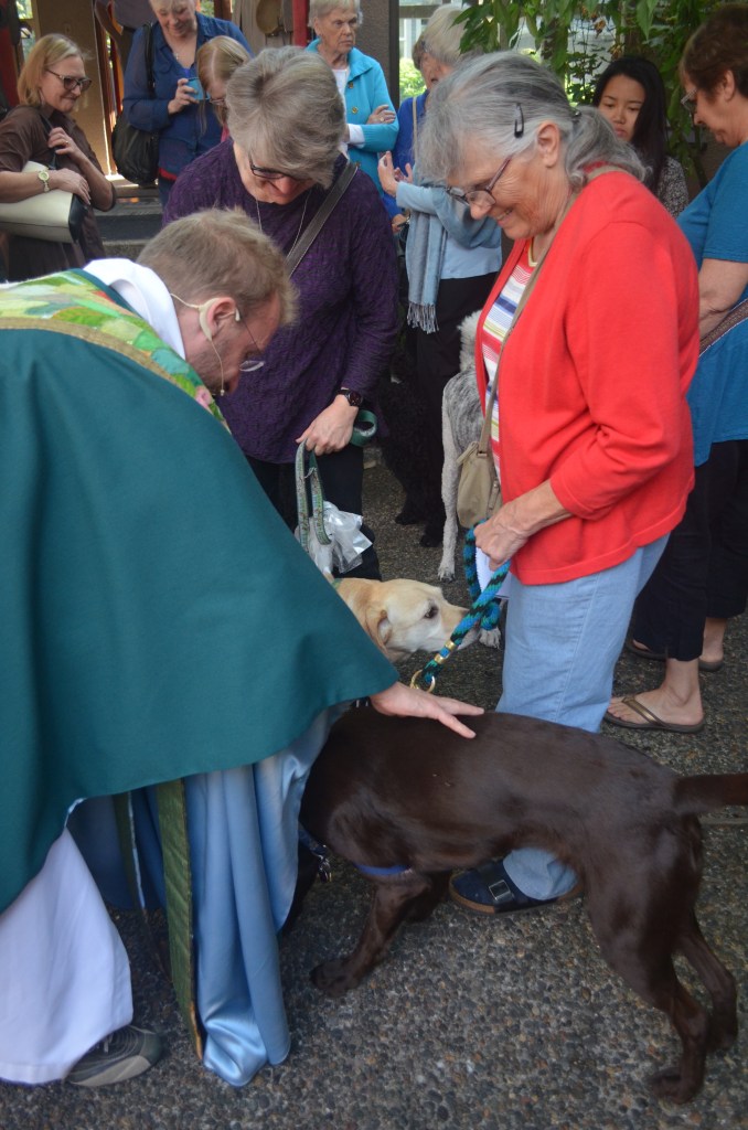 St. Francis Day & Blessings of the Animals - Bible Study - Sundays @ 9am